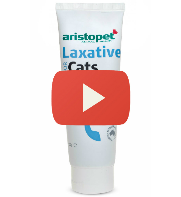 Cat Laxative Paste
